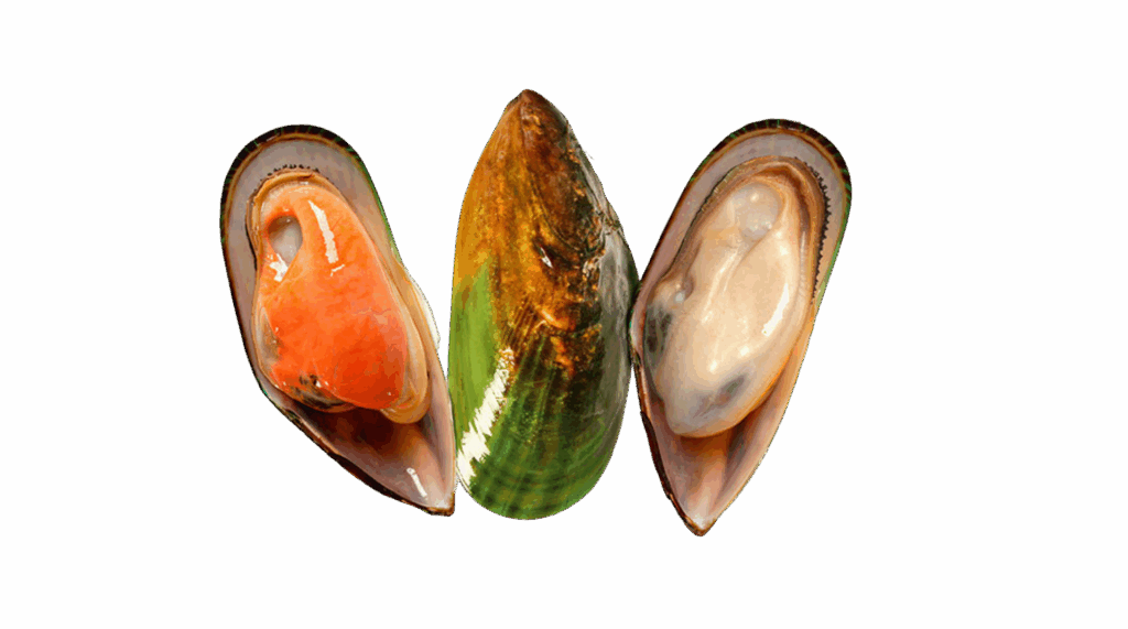 Greenshell™ Mussels – Sanford
