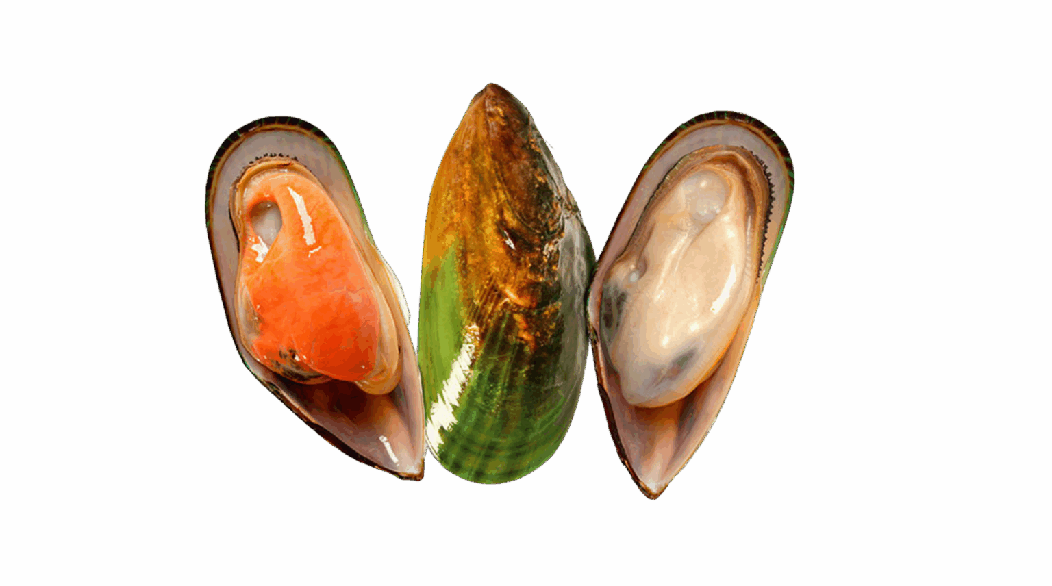 Greenshell™ Mussels – Sanford
